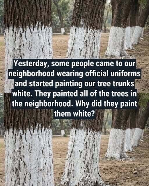 Why Are Tree Trunks Painted White? - Informed America